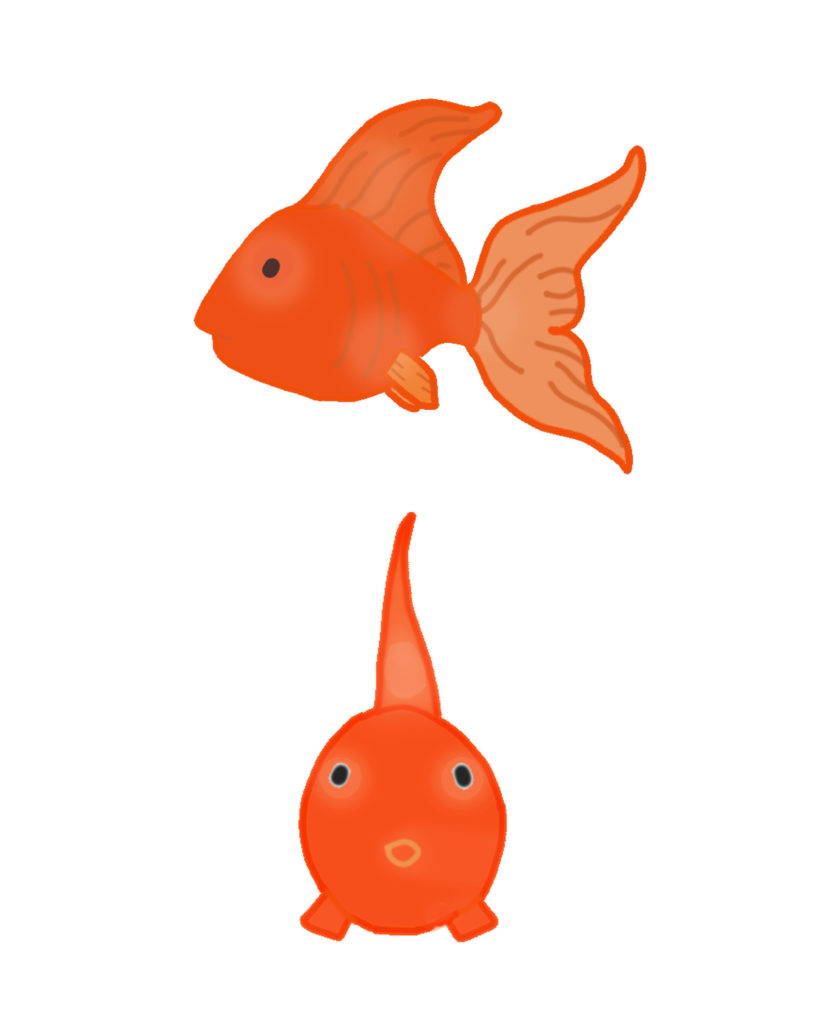 Maya the Goldfish – C18 Digital Imaging & Computer Art